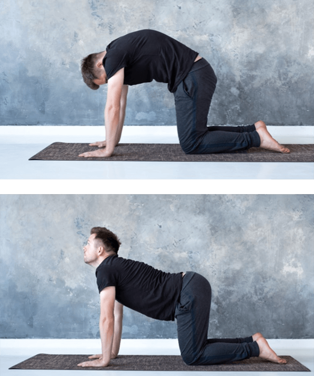 Healing Your Lower Back: Exercises for a Herniated Disc