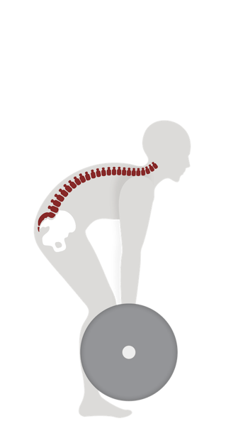 Ergonomic Executive Office Chair