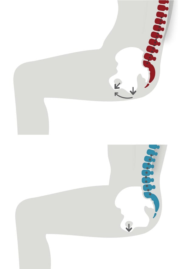The 2 Least Understood Requirements To Maintain A Good Sitting Posture