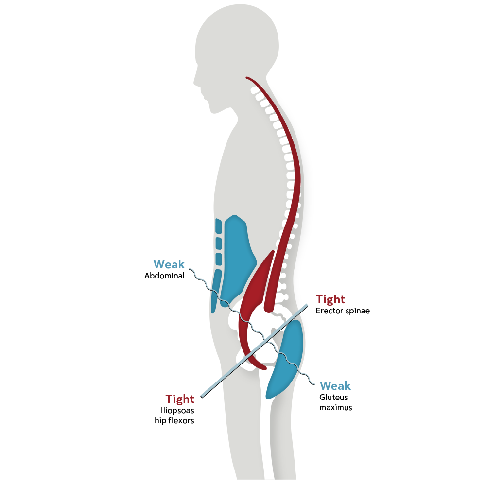Can an office chair change your posture? The secrets to sitting up ...