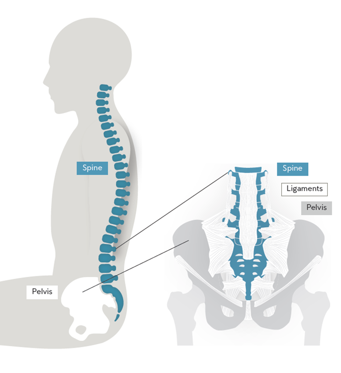 Is Lumbar Support Good For Your Back?