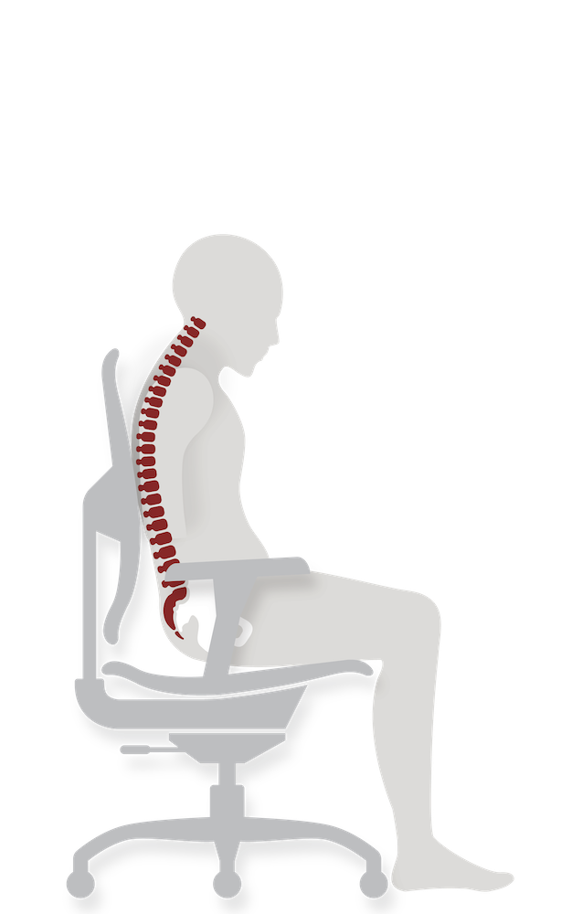 Ergonomic Executive Office Chair