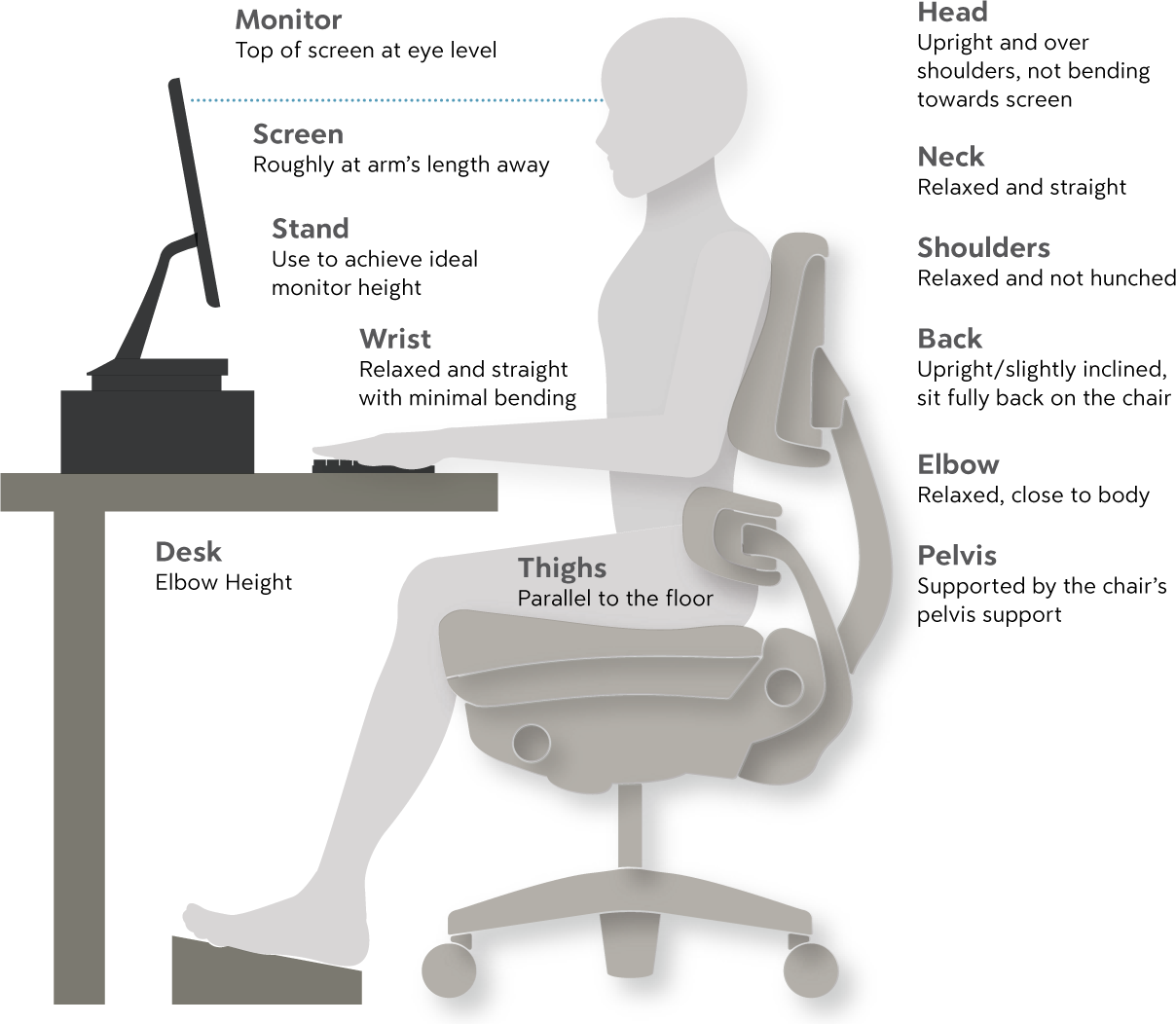 Sitting Posture Affects Standing Posture