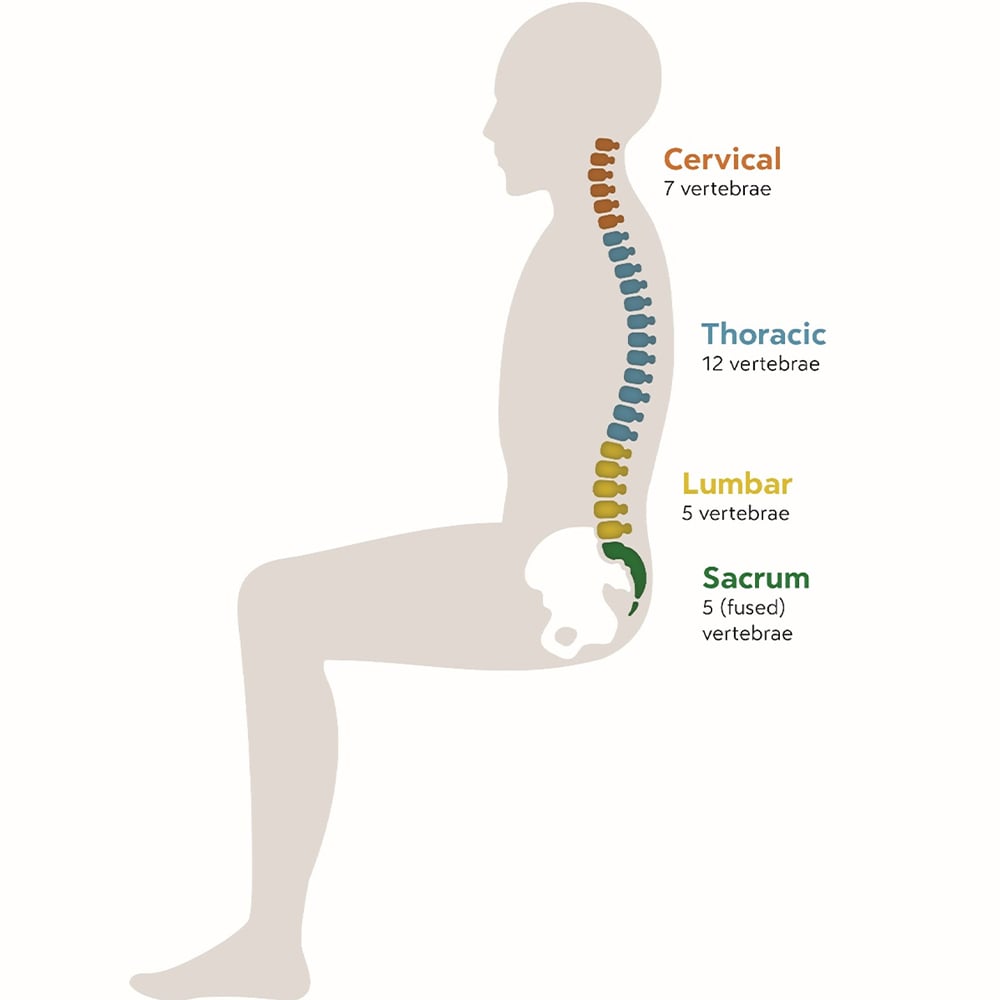 Why Is It So Hard To Sit In Good Posture?